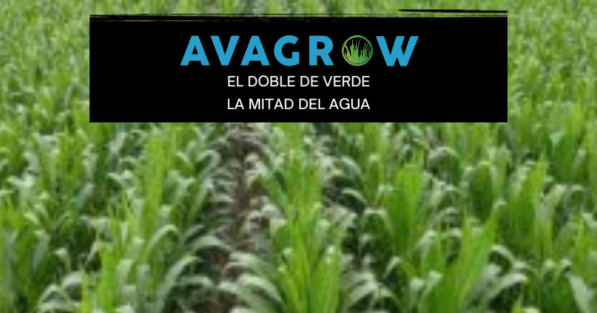 AvaGrow_Mx
